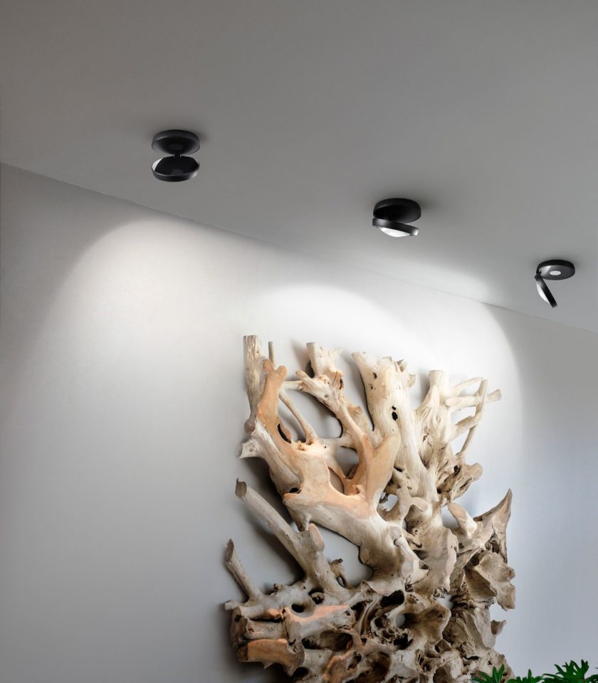 NAUTILUS CEILING LIGHT – Concept Lighting Sydney